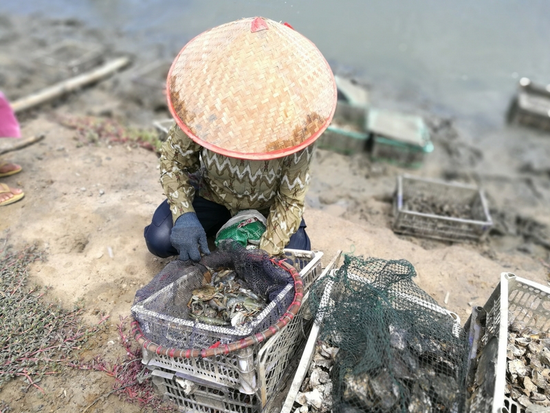 Natural Aceh Livelihood for Women | AirAsia Foundation