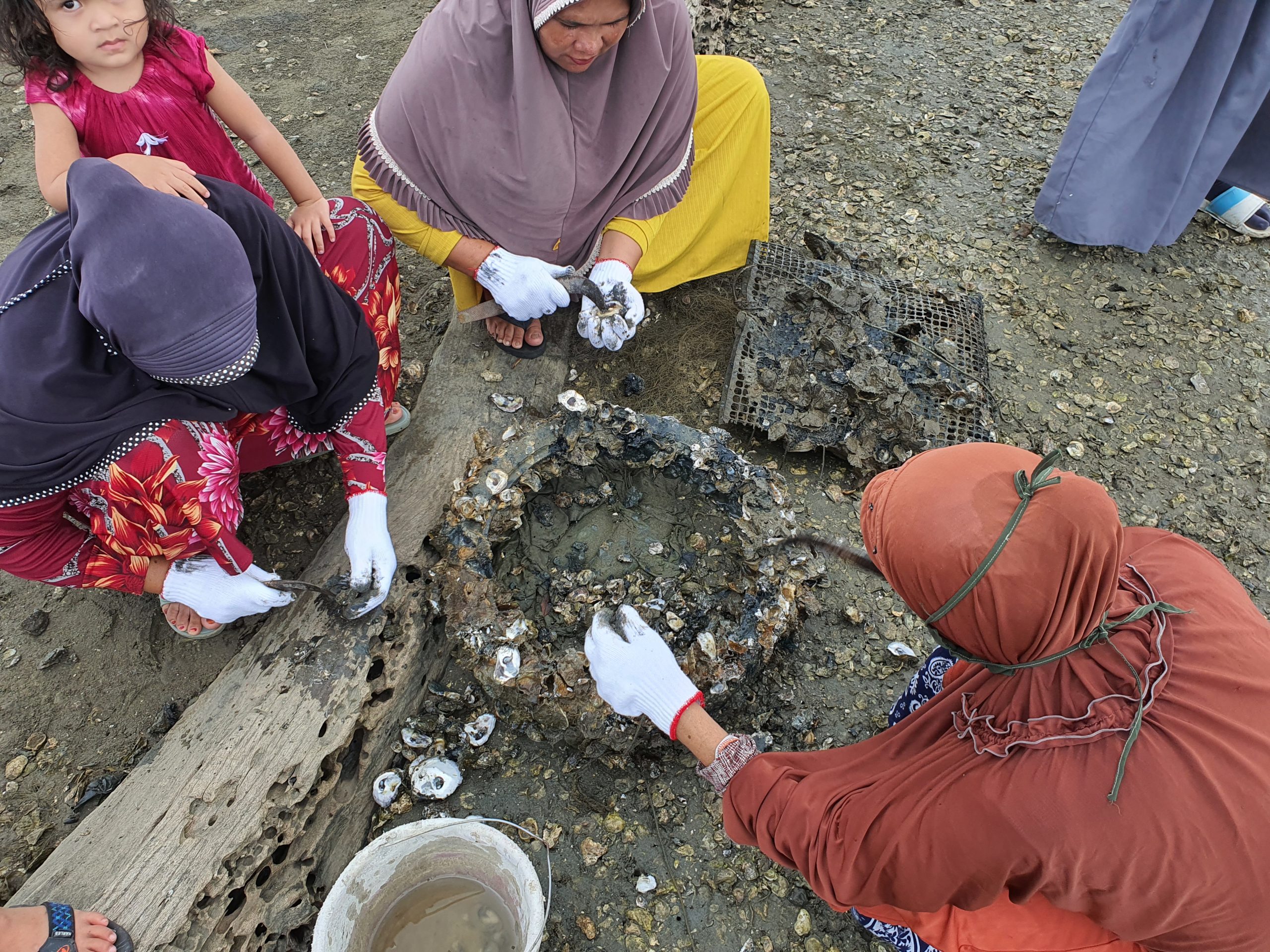 Natural Aceh Livelihood for Women 2.0 - AirAsia Foundation